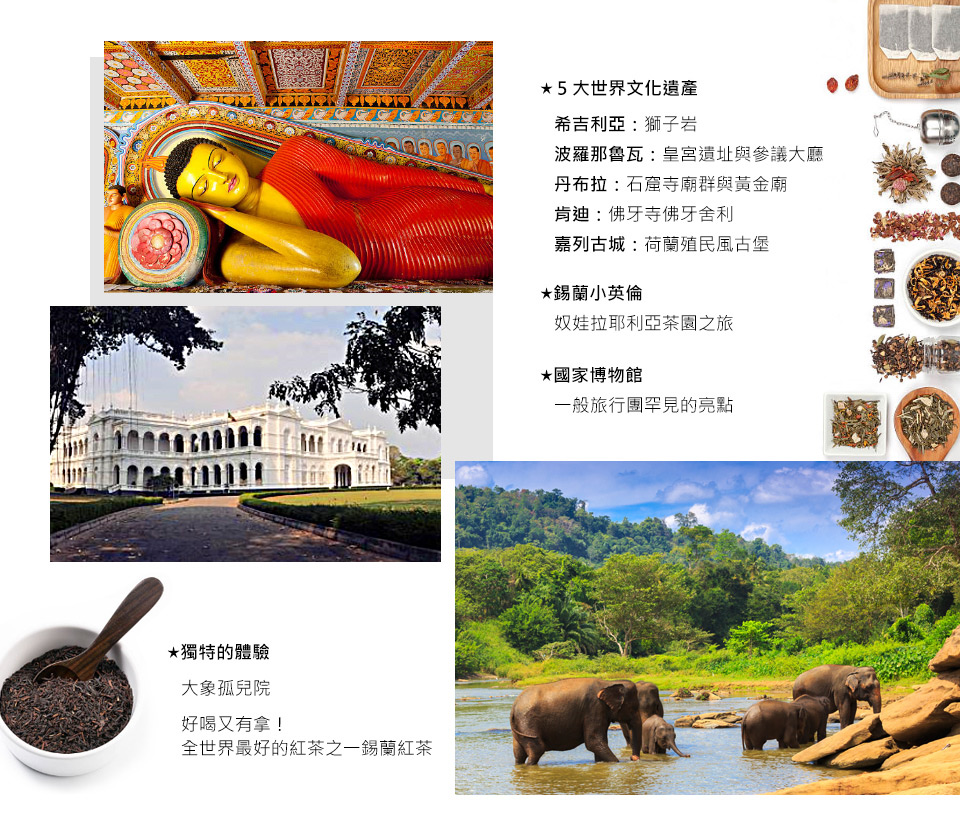理想旅遊行程列印 - 斯里蘭卡印度洋明珠.五大世界遺產9日
